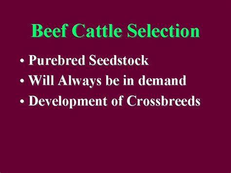Beef Cattle Selection And Crossbreeding Chapter Two Two