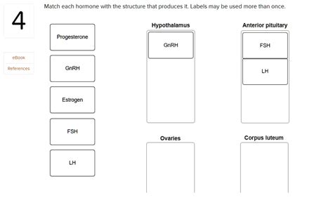 Match Each Hormone With The Structure That Produces It Labels May Be