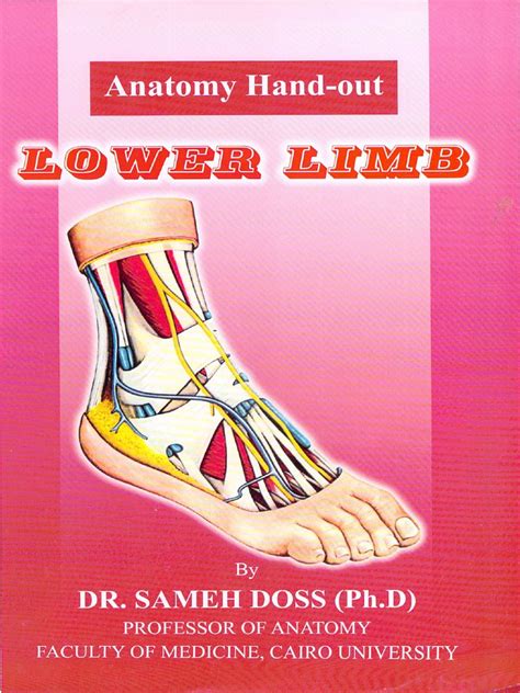 Anatomy Lower Limb Sameh Doss Pdf