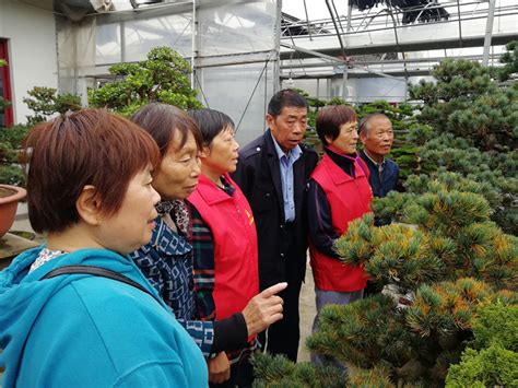 南通市崇川区南郊社区：牵手侨眷迎重阳，品味健康新时尚 南通市侨联