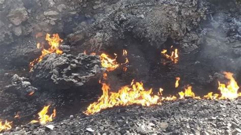 Viral Sumber Api Dalam Air Yang Ditemukan Warga Sumba Tengah Ntt