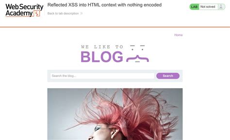 Portswiggers Reflected Xss Into Html Context With Nothing Encoded