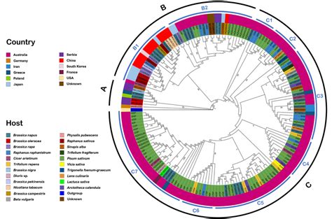 Phylogenetic Analysis Maximum Likelihood Algorithm Based On