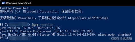 Windows Idea Java Picked Up Java Tool Options Djava Net
