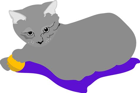 10 000 Sexy Cat ฟร และภาพประกอบ แมว Pixabay