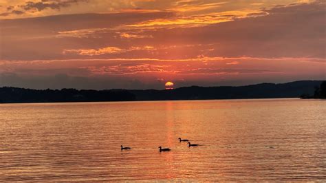 Scaling Culture Navigating The Complexities Of Growth