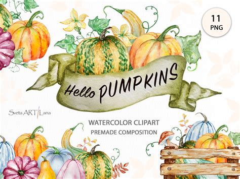 Watercolor Autumn Pumpkin Clipart Fall Pumpkin Png Etsy