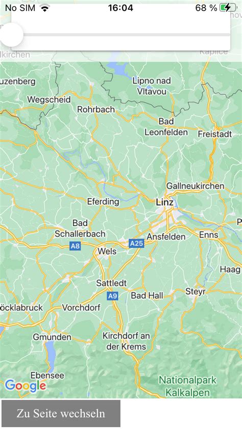 Google Maps Map Disappearing After Losing Focus Issue Ionic