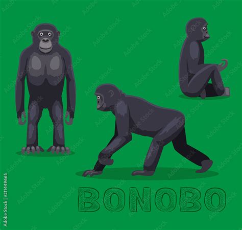 Ape Bonobo Cartoon Vector Illustration Stock Vector Adobe Stock