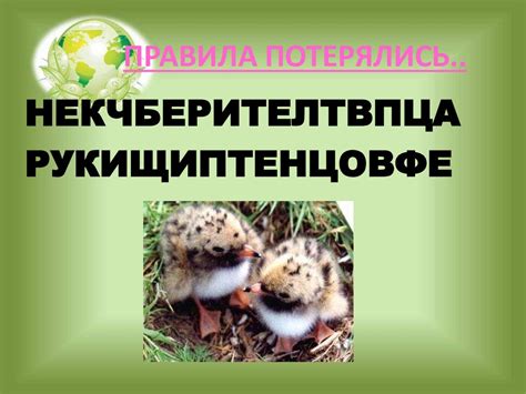 Внеклассное мероприятие по экологии «Путешествие по экологической тропе