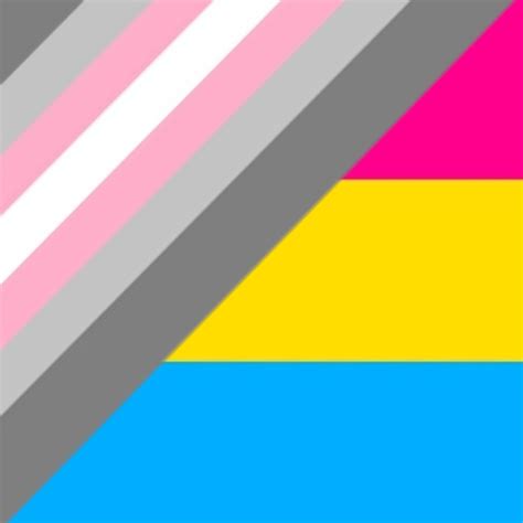 Pansexual Demi Girl Flag Lgbtq Pride