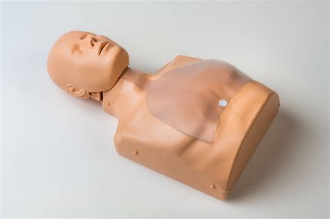 Northrock Safety Disposable Lung For Practi Man Advance Cpr Manikin