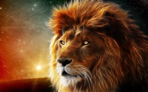 Leo Wallpaper 73 Pictures Wallpaperset