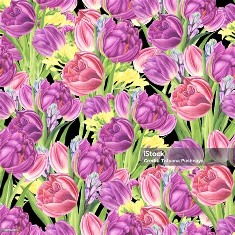 春の花とシームレスなパターン 黒の背景にチューリップフリージアとヒヤシンス水彩画 まぶしいのベクターアート素材や画像を多数ご用意