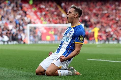 Football Trossard Hat Trick Gives Brighton Hard Earned Draw At