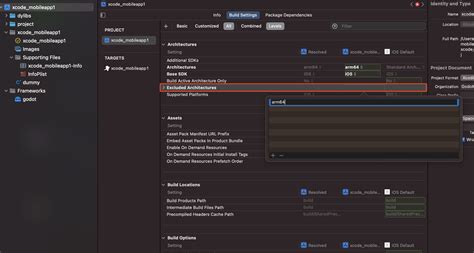 Build In Xcode Gives The Error Ld Entry Point Main Undefined For Architecture Arm64