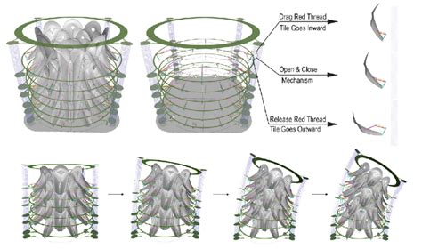 Copra 2 Inverted Pine Cone Model Structural Design And Bending Download Scientific Diagram