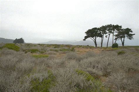 CrissyField Exr