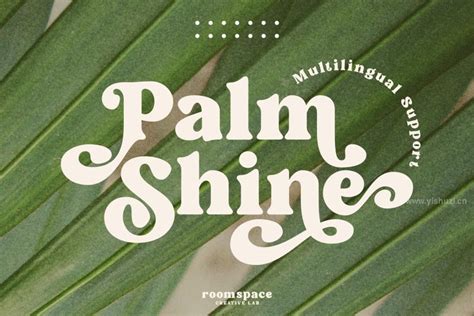 复古风格的英文粗体衬线字体 Palm Shine 艺字网