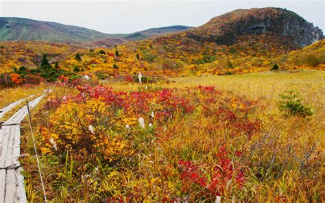 Autumn Hikes In Japan Gaijinpot