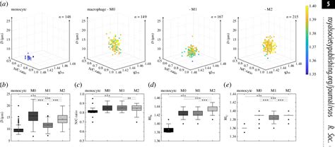 figure 4 from single cell classification of macrophage subtypes by