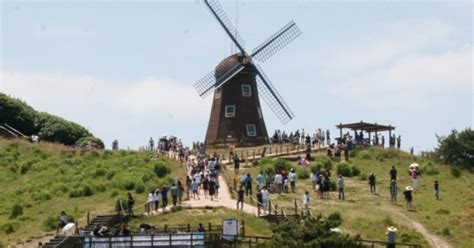 그림같은 바람의 언덕 풍차