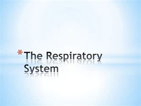 The Respiratory System 2 Odp