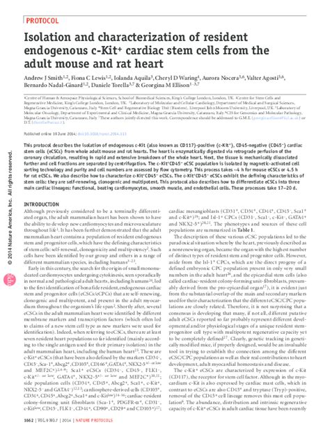 Pdf Isolation And Characterization Of Resident Endogenous C Kit