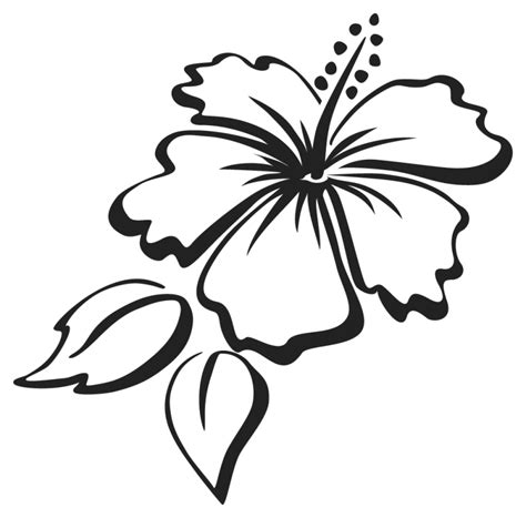 Stickers Hibiscus Autocollants Stickers