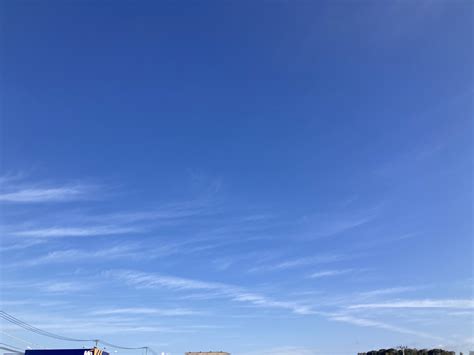 雨上がりの空 ハツユキソウ