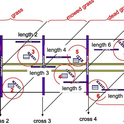 Schematic Presentation Of The Different Grass Strips In The Test Field