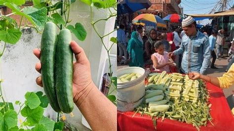 Timun Pun Boleh Potong Potong Jadi Buah Gelagat Lelaki Ini Bersembang Menghiburkan