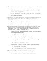 Exam Study Guide Docx Describe The Male And Female Secondary Sex Characteristics When Do