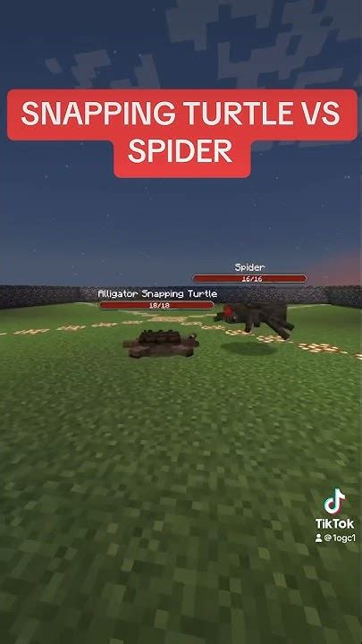 Snapping Turtle Vs Spider Minecraft Minecraftshorts Minecraftmemes Shorts Mobbattle Short
