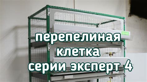 перепелиная клетка серии эксперт 4 - YouTube