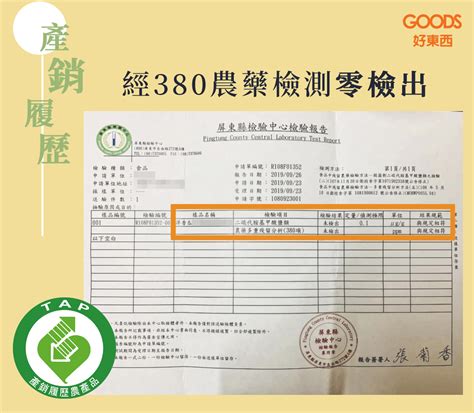 日本品種哈密瓜 阿露斯網紋洋香瓜 大武山水源保護區 4~5顆箱裝