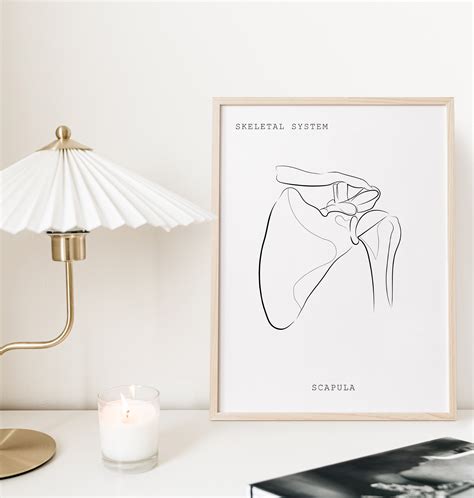 Scapula Anatomy Anatomy Anatomy Printable Anatomy Line Art Medical Art Clinic Décor