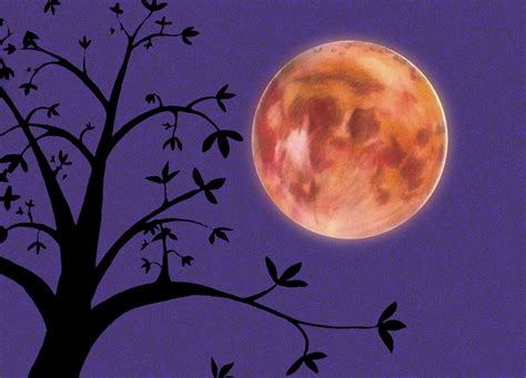 Falling Moon Snipette Medium