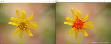 opencv 4 x api 详解与c 实例 特征检测与描述 opencv c fastfeaturedetector csdn博客