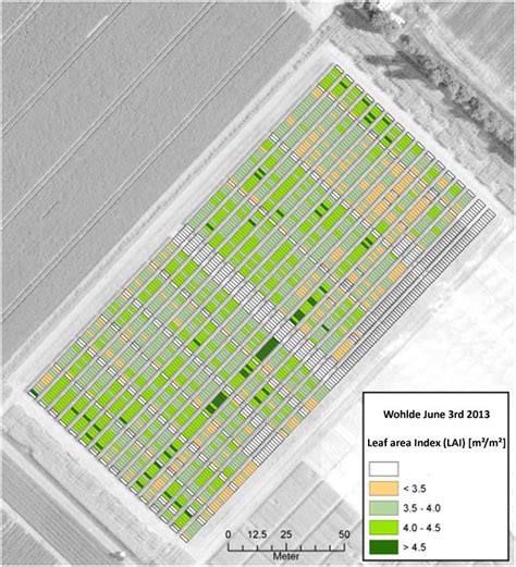 Estimated Leaf Area Index For The Measurement Of June 3 Rd 2013 In Download Scientific Diagram