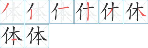 体的笔顺笔画顺序在田字格的正确写法 好问之家