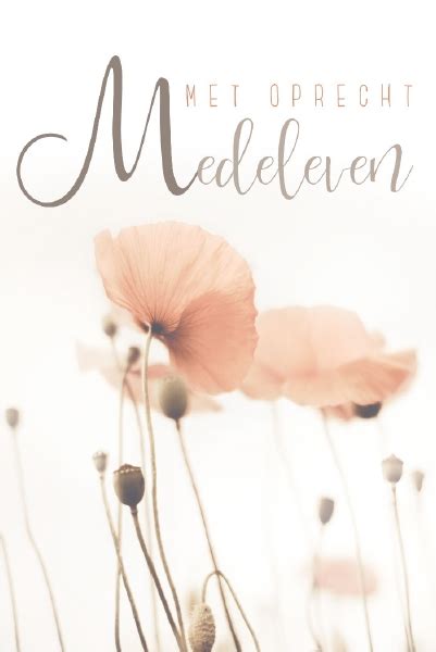 Deelneming Christelijke Boeken Kaarten Muziek Cds Films Dvds