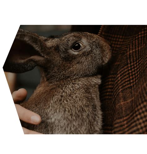 Rabbitmq Troubleshooting