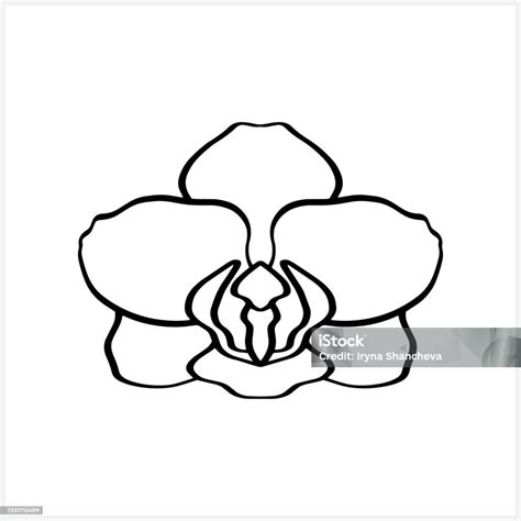 Doodle Orchideesymbol Isoliert Auf Weiß Hand Gezeichnete Skizze Blume