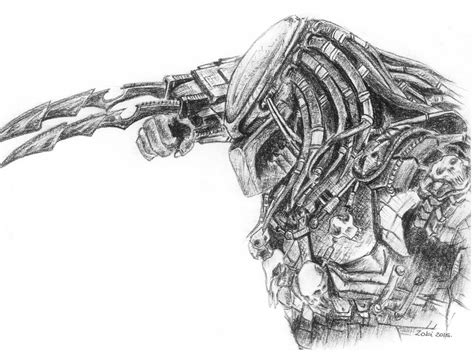 Predator Drawing By Taralfa On DeviantArt