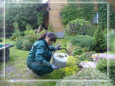 Сезонные работы в саду защита растений от болезней садовники уход за газоном