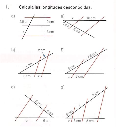 Teorema De Tales Ejercicios Resueltos Seonegativocom Images