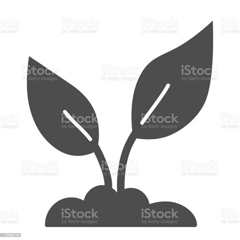 토양 고체 아이콘 생태 개념 흰색 배경에 두 개의 잎 기호가있는 작은 새싹 모바일 개념 및 웹 디자인을위한 글리프 스타일의 모종 아이콘 벡터 그래픽 0명에 대한 스톡 벡터