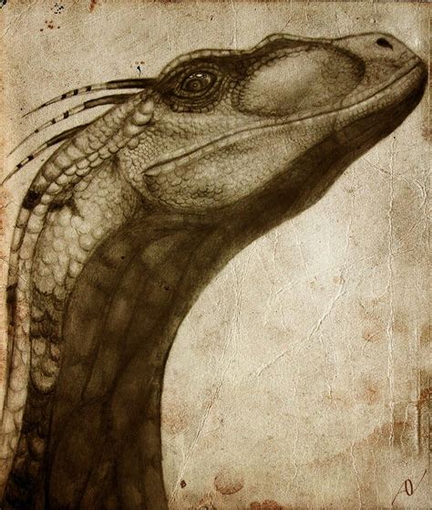 Male Velociraptor From Jurassic Park Dinosaur Images Prehistoric Creatures Prehistoric