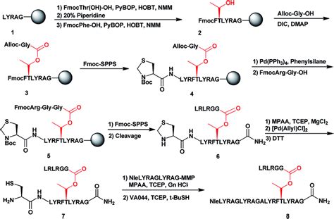 Synthetic Strategy For The Model Peptide Containing The Ester Linkage Download Scientific Diagram